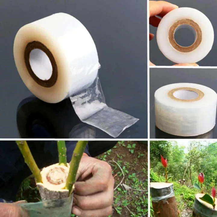 Roll Tape Parafilm Pruning Stretch Graft Budding Barrier Floristry ...