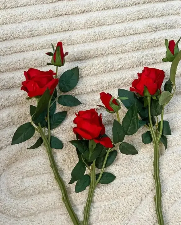 Velvet Red Roses For Wife & Girl (Valentine’s Day Gift) – 1 Pc | Daraz ...
