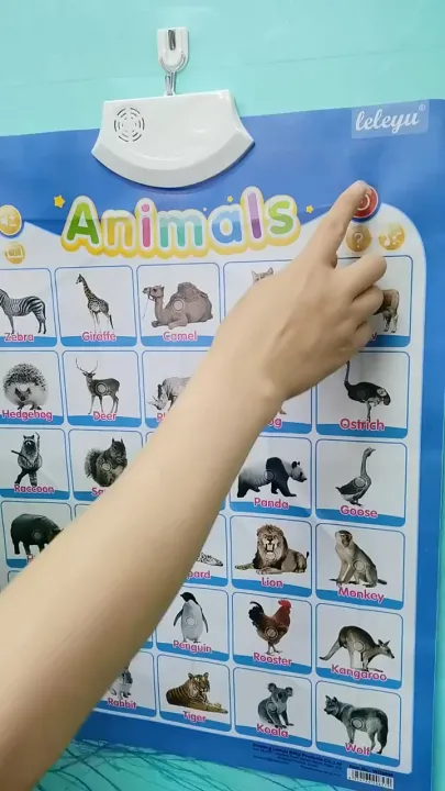 Interactive Alphabet Learning Chart for Kids – Talking ABC Wall Poster ...