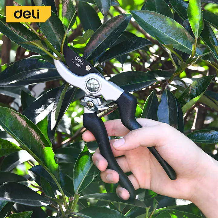 Deli 8.5 Inch Garden Scissors Professional Sharp Pruning Shears Tree ...