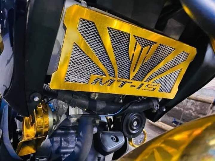 MT 15 bike radiator guard Golden/Blue /Red | Daraz.com.bd
