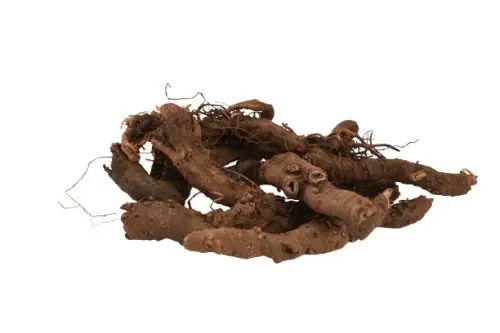 Anjabar • Anjbar • KnotGrass Root • انجبار‎ • wt 100 gm | Daraz.pk