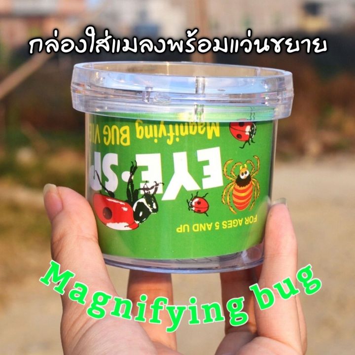 Abcstyle99 insect life cycle box animal insect box with magnifier ...