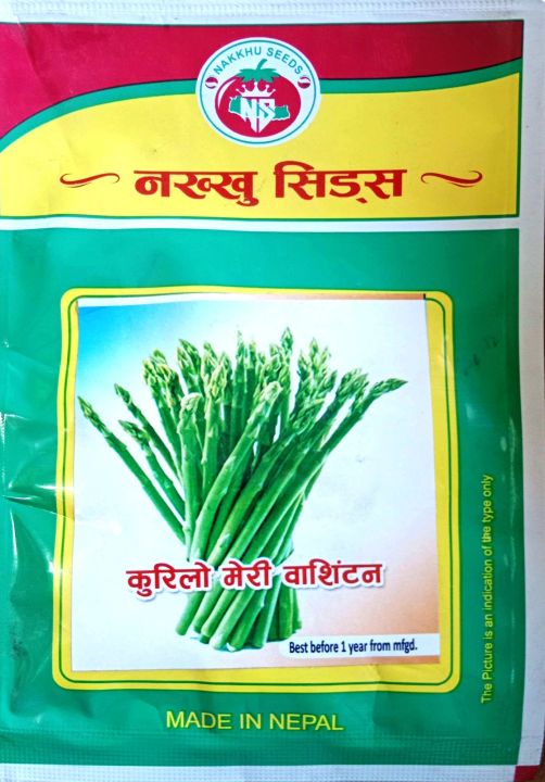 Kurilo Meri Washinton (10 Grm) Seeds | Daraz.com.np