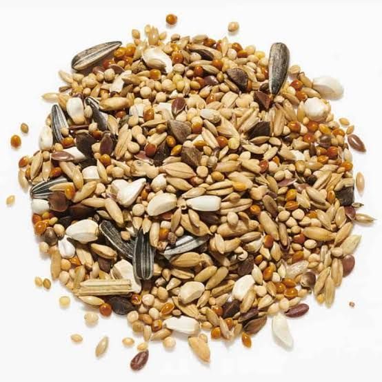 Seed mix Natural & Healthy Premium bird food for African Love Bird ...