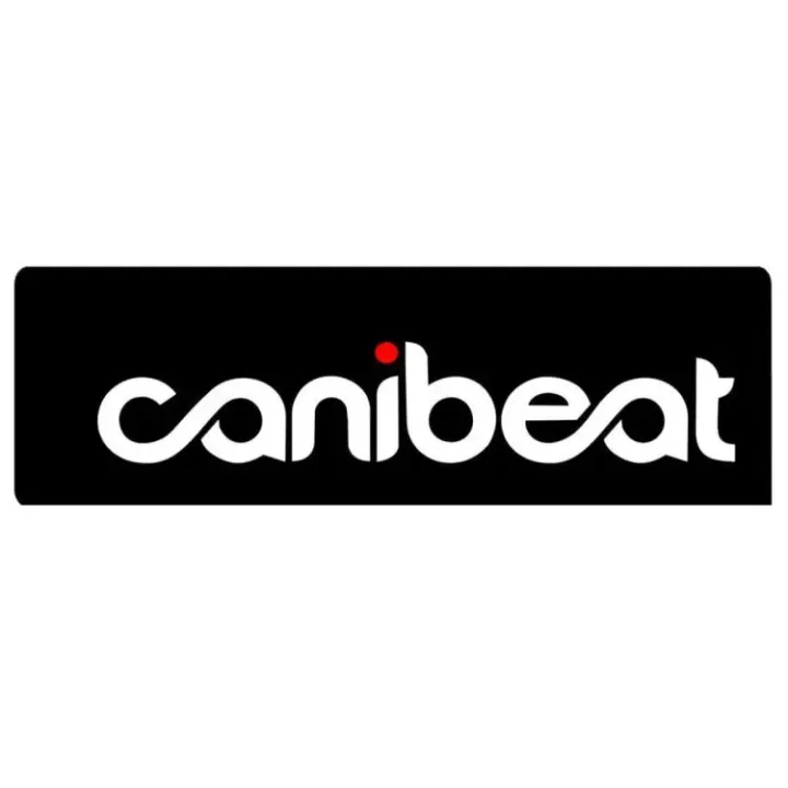 CANIBEAT Stickers For Car Van Sports Car WagonR Alto Racing Car kdh ...
