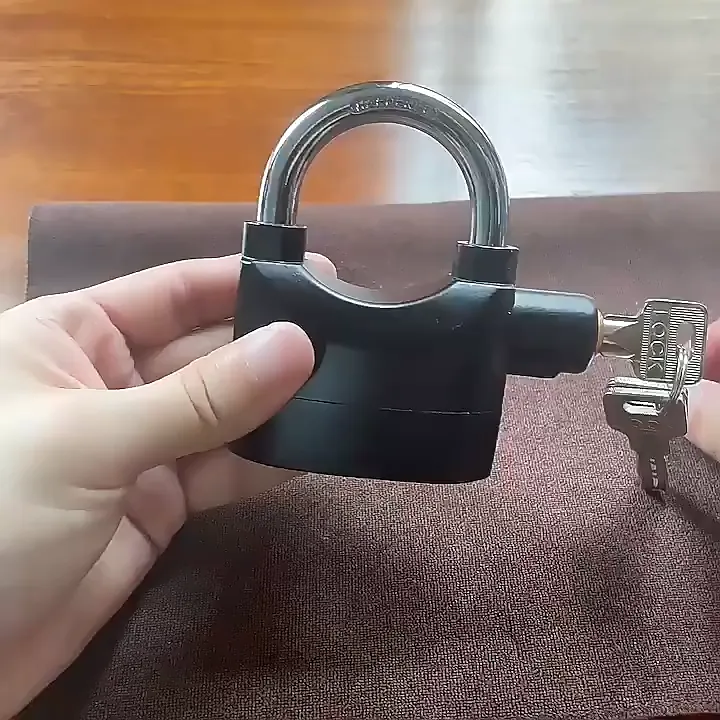 Alarm Padlock – Heavy-Duty Anti-Theft Security Lock with Siren & Key ...