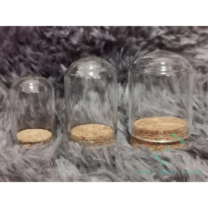 Mini dome glass jar (3 types) mini dome glass jar # tiny dome glass jar ...