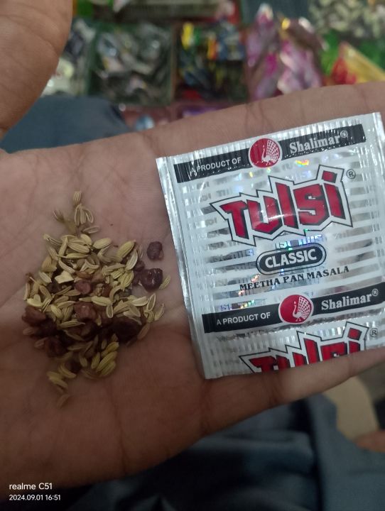Original Shalimar Tulsi Classic (Pack Of 48 Pieces ) Metha Pan Masala ...