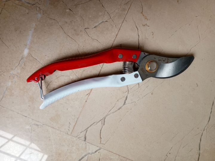 Pruning cutter pruning scissors Garden's scissors , Garden and nursery ...
