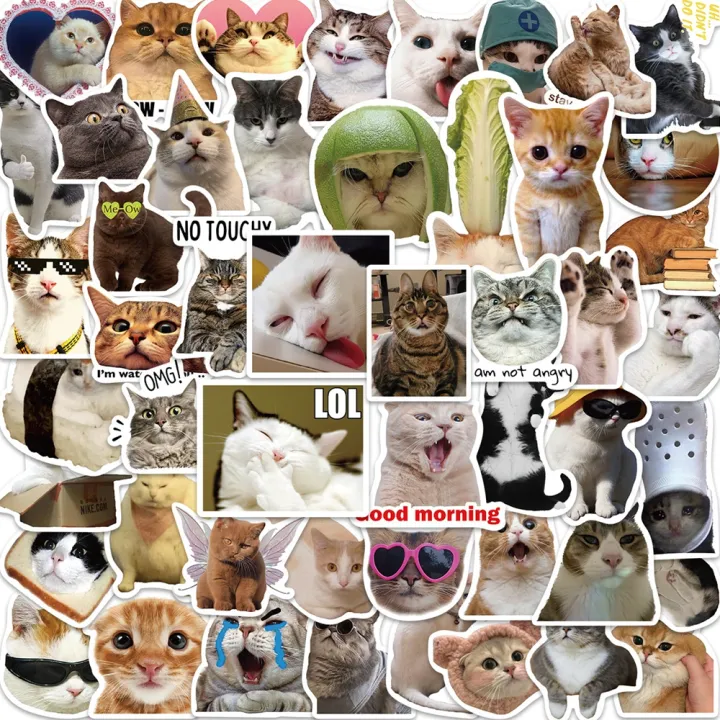 50Pcs Kawaii Cat Dog Funny Animal Meme Graffiti Stickers for DIY Laptop ...