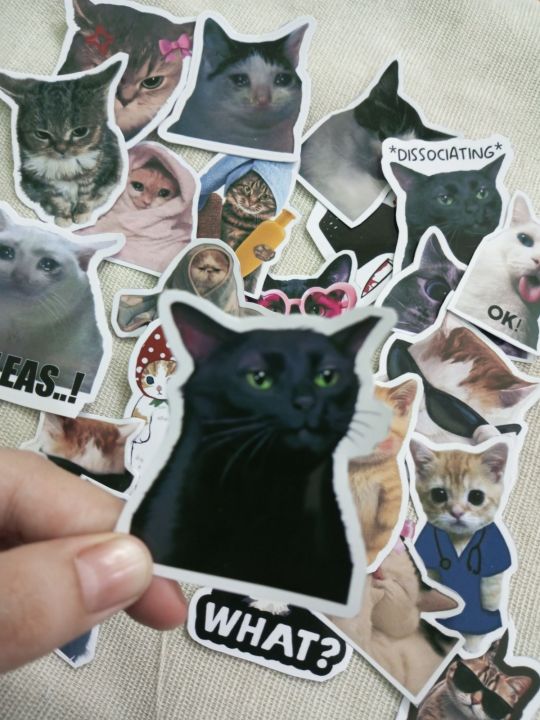 25 PCS Cute Cat Stickers Pack | Waterproof Vinyl | Kawaii Funny Cats ...