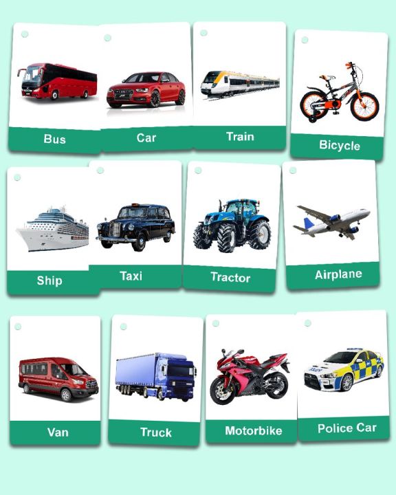 Educational Flash card 1 | Daraz.lk