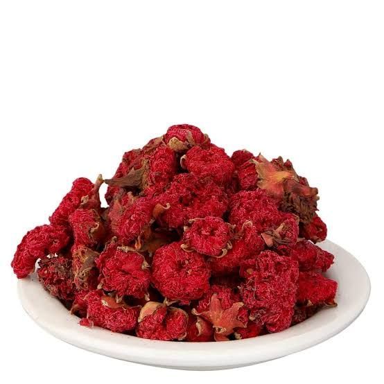 Gul e Anaar گل انار | Pomegranate Flower | Anaar ke Phool | Anar ...