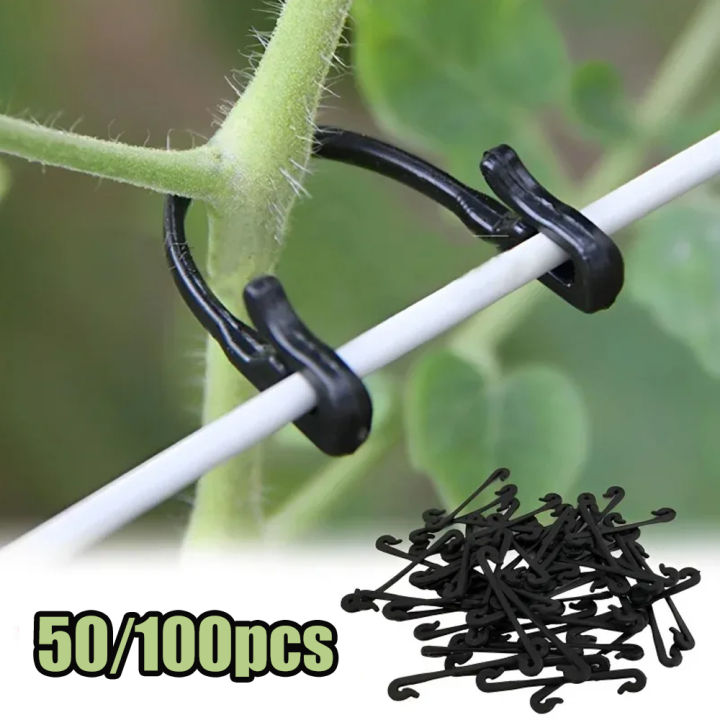 100/50Pcs Garden Plants Fixed Clips Buckles Tomato Vegetable Grafting ...