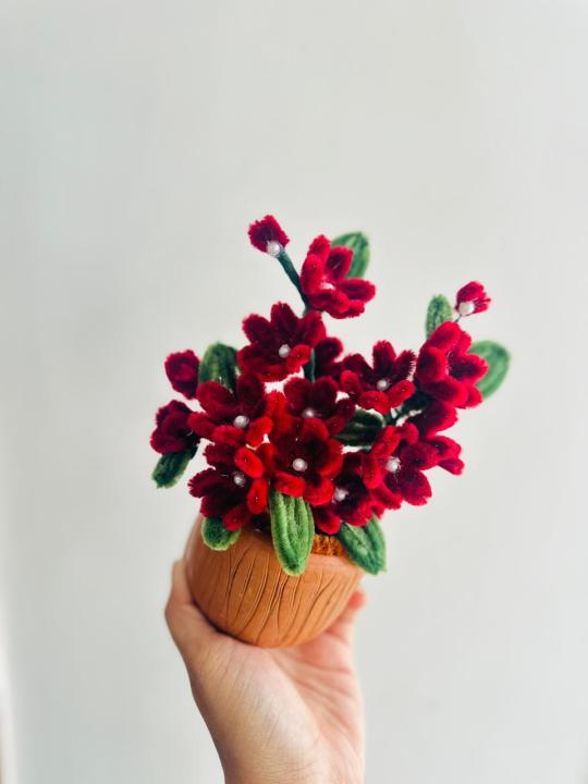 Handmade Pipe Cleaner Flowers in Clay Pot - Red Mini Table Decor | Daraz.lk