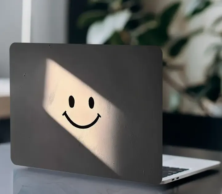 Face Waterproof Vinyl Stickers ,Easy Apply & Remove ,Scratch-Resistant ...