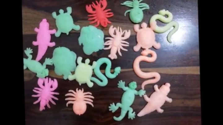 Water Expanding Animal In Mix Colors & Order Now (10 Pcs,20 Pcs,30 Pcs ...