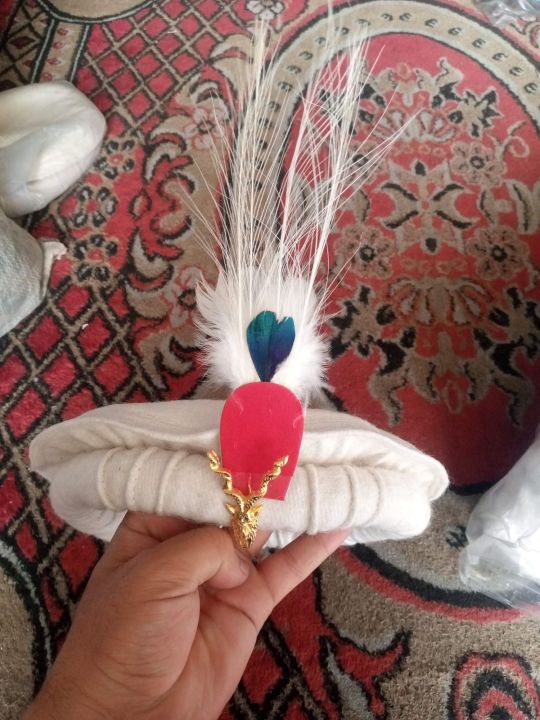 Chitrali Cap + Markhor + Feather | Daraz.pk