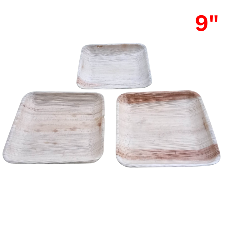 Areca Leaf 7" Square Plates | 4 Pcs Set | 100% Biodegradable | Eco ...
