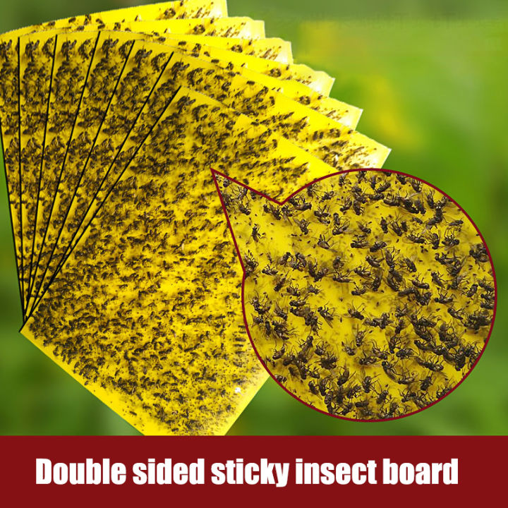 10pcs Strong Fruit Fly Traps Bugs Yellow Sticky Board Pest Control ...
