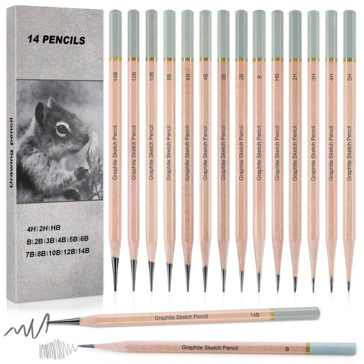 14 Pro Sketching Drawing Pencils Set – 14 Graphite Pencils (14B–5H ...