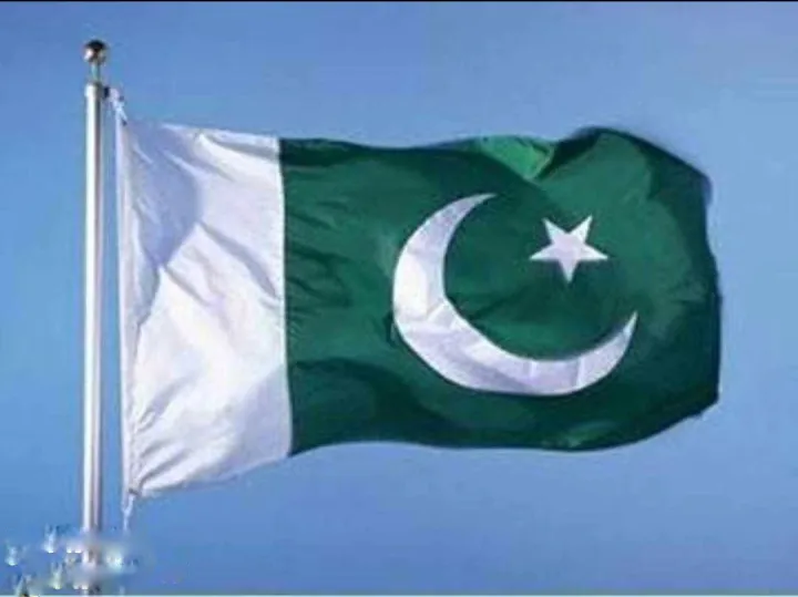 Pakistani flag size 3/5 4/6 | Daraz.pk