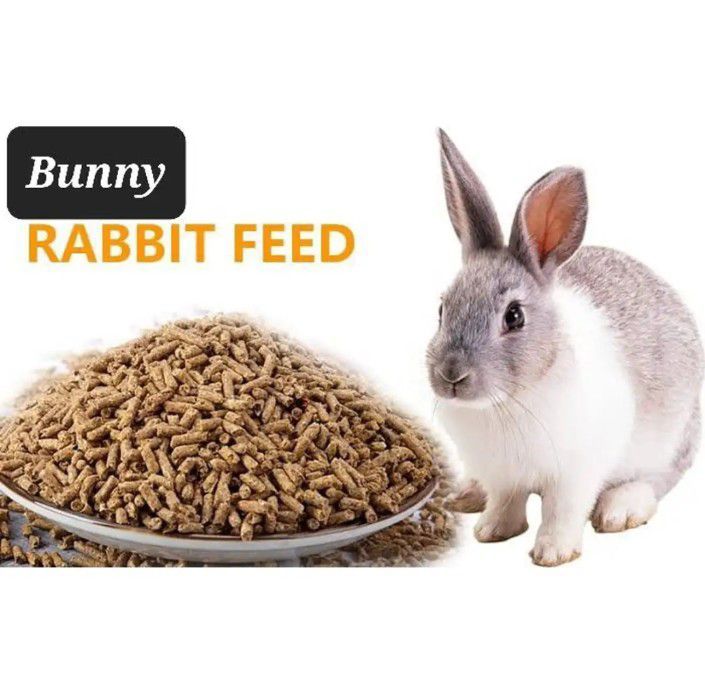 Rabbit ( bunny ) food pellot 1 kg | Daraz.pk