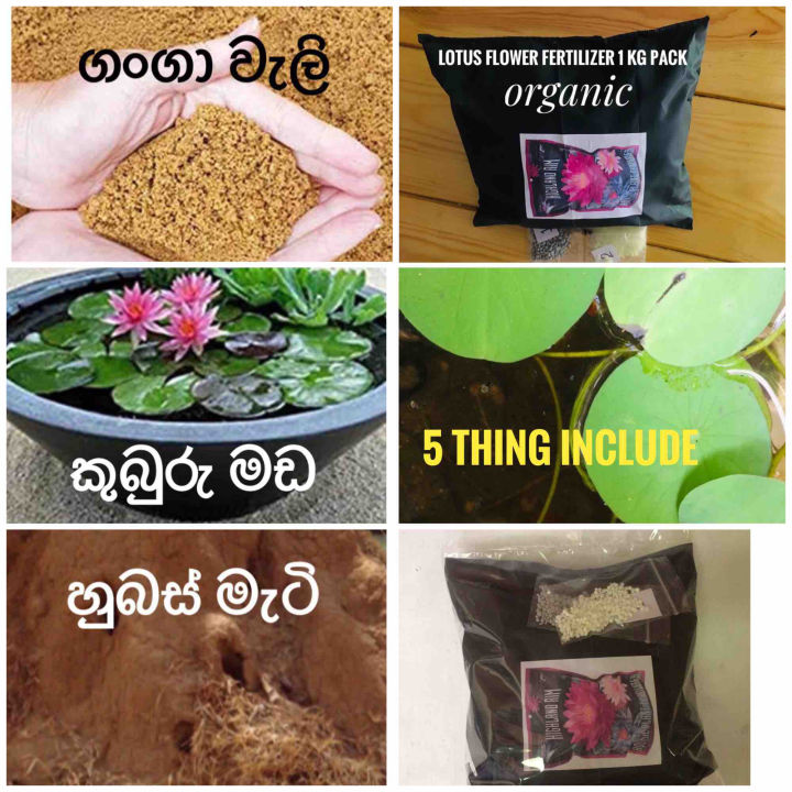නෙළුම් මල් පොහොර Lotus Fertilizer 1kg bag. 5 things included pack ...