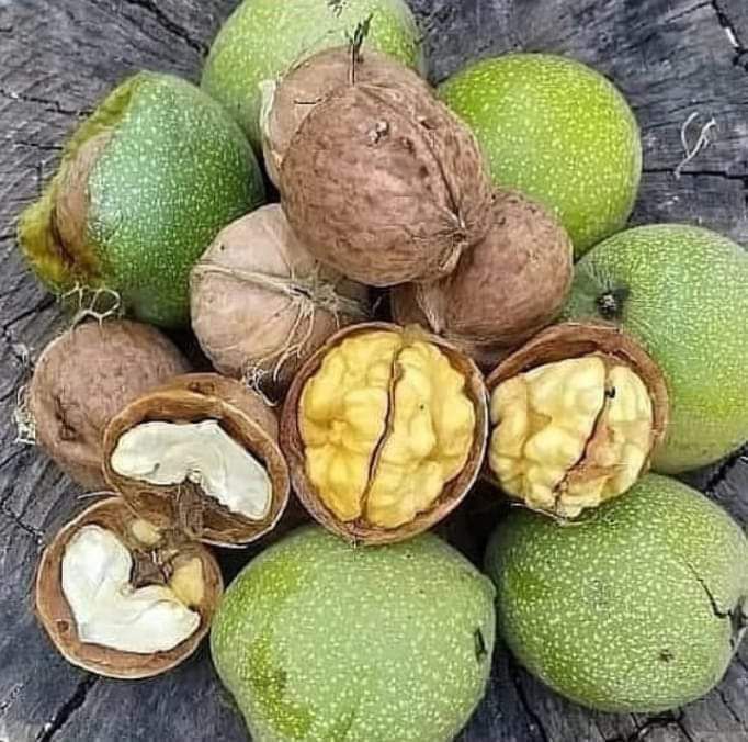 Chitrali Walnut (500 Gram) | Daraz.pk