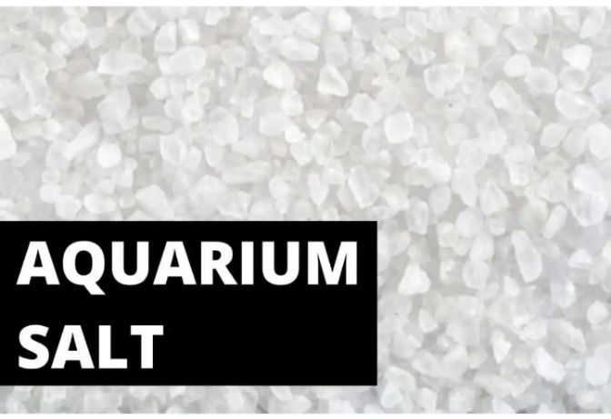 aquarium salt 1.5KG | Daraz.pk