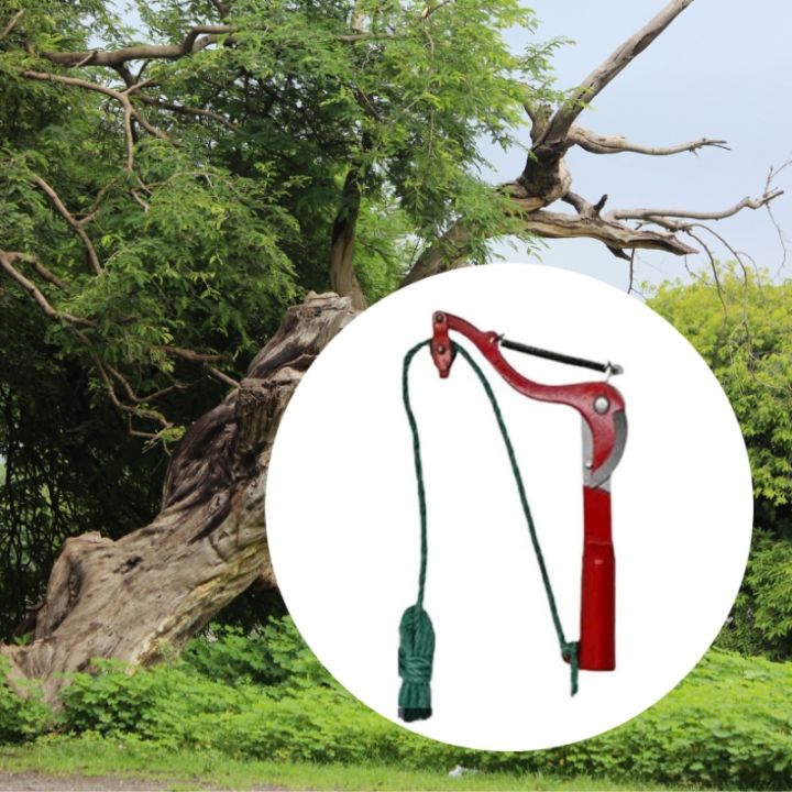 Telescopic High-branch Scissors Fruit Picker High-altitude Scissors ...
