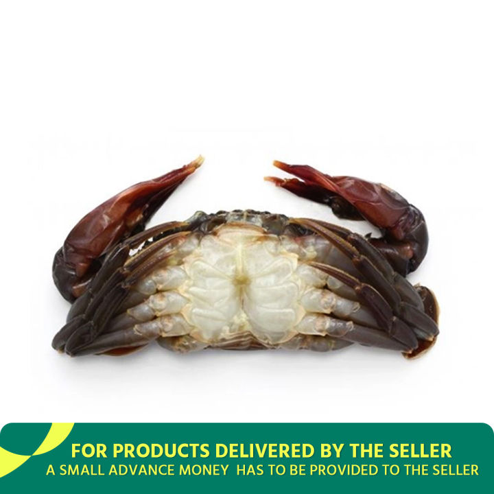 Whole Round Soft Shell Crab (Medium) – 1kg | Fresh & Delicious Seafood ...