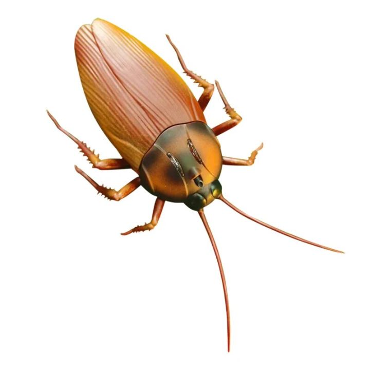 Inductive Cockroach Toy Tease Cats Tease Dogs Electric Inductive ...
