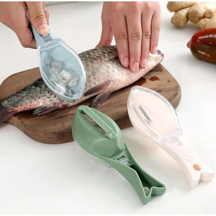 Fish scale Scraper | Daraz.lk