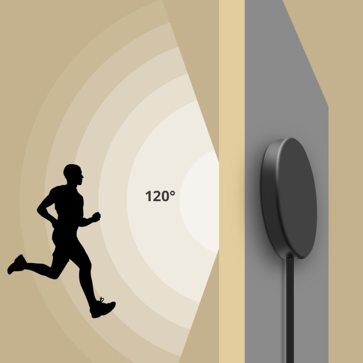 Penetrate Wood Body Motion Sensor LED Light Switch 12V 5A Partition ...