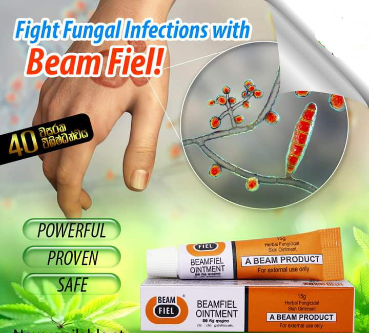 Beam Fiel Herbal Medicated Balms 15g | Daraz.lk