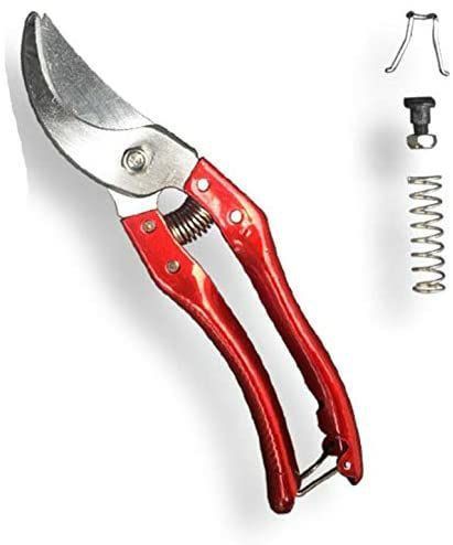 Pruning shear / gardening scissor- 8 inch | Daraz.com.np