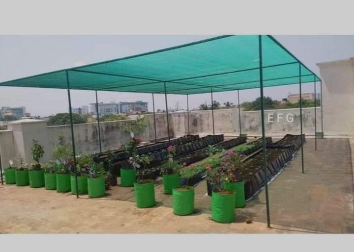 Plant and Orchid sun rain fog Protection shade net 50% Green 10×15 feet ...