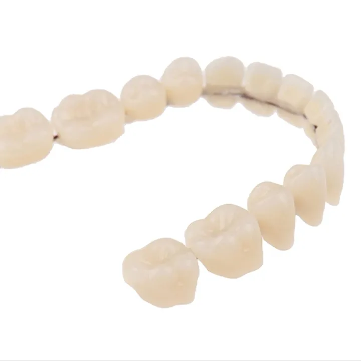 Dental tooth models for patients with oral defects, dental supplies and ...