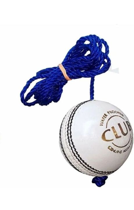 Hanging Strike Hard Ball For Cricket Practice White Colour And Top ...