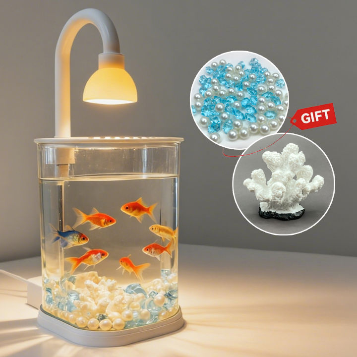 Starter Kit Small Fish Tank Fighting Fish Tank Tabletop Turtle Tank ...