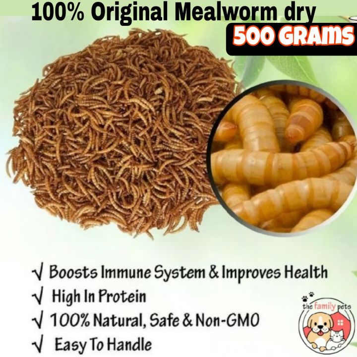 Mealworms Super food (Dry worms) 500grams | Daraz.pk