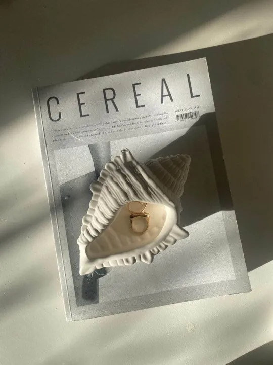 Shell Trinket Tray | Shell Tray | Jewellery Tray | Conch Shell Tray ...