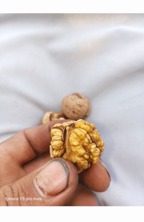 walnut | Daraz.pk: Buy Online at Best Prices in Pakistan | Daraz.pk