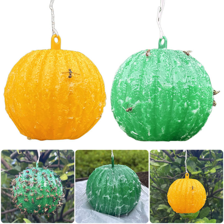 Sticky Fruit Fly Trap Ball Fruit Fly and Fungus Gnat Sticky Catcher ...