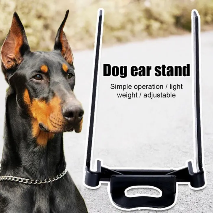Dog Ear Stand Doberman Ear Stand Up Support Tool Assist Erected Ear ...