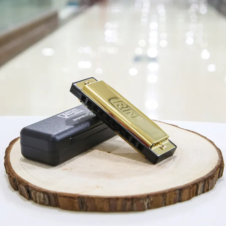 Silver / Gold KeyC 10 Hole 20 Tone Blues Harmonica for Professional ...