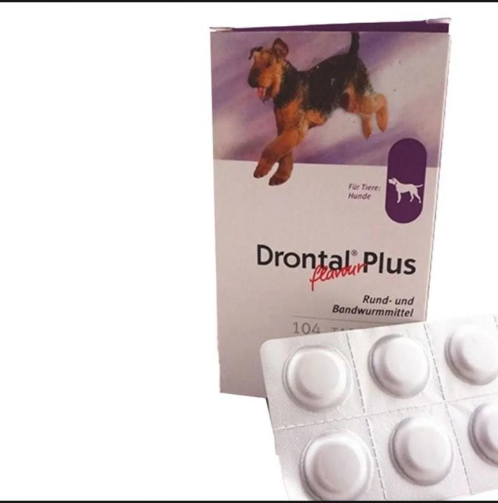 Drontal Plus Dog Deworming Single Tablet | Daraz.pk