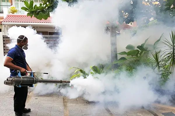Mosquito Fogging / Dengue Control / Mosquito Control For Exterior Area ...